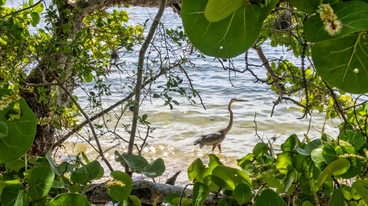 Store – Thomas Kenning