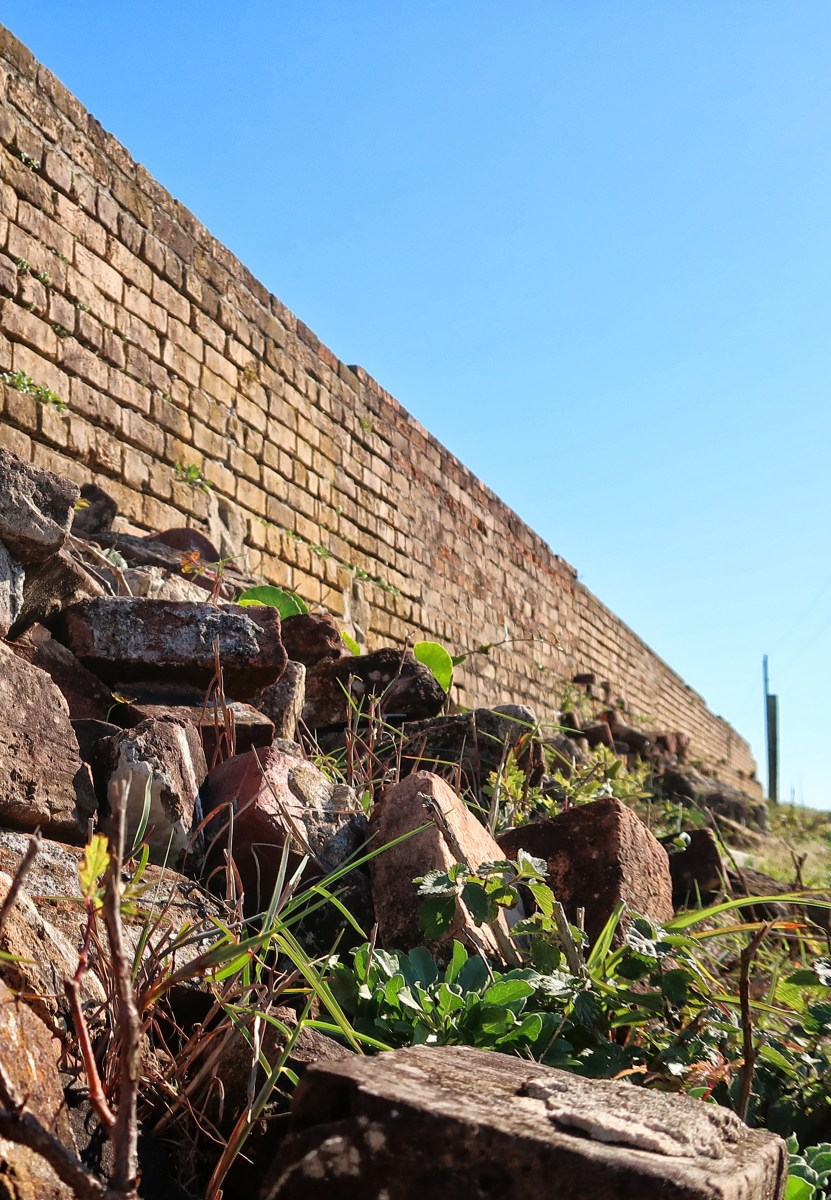 Projects – Thomas Kenning